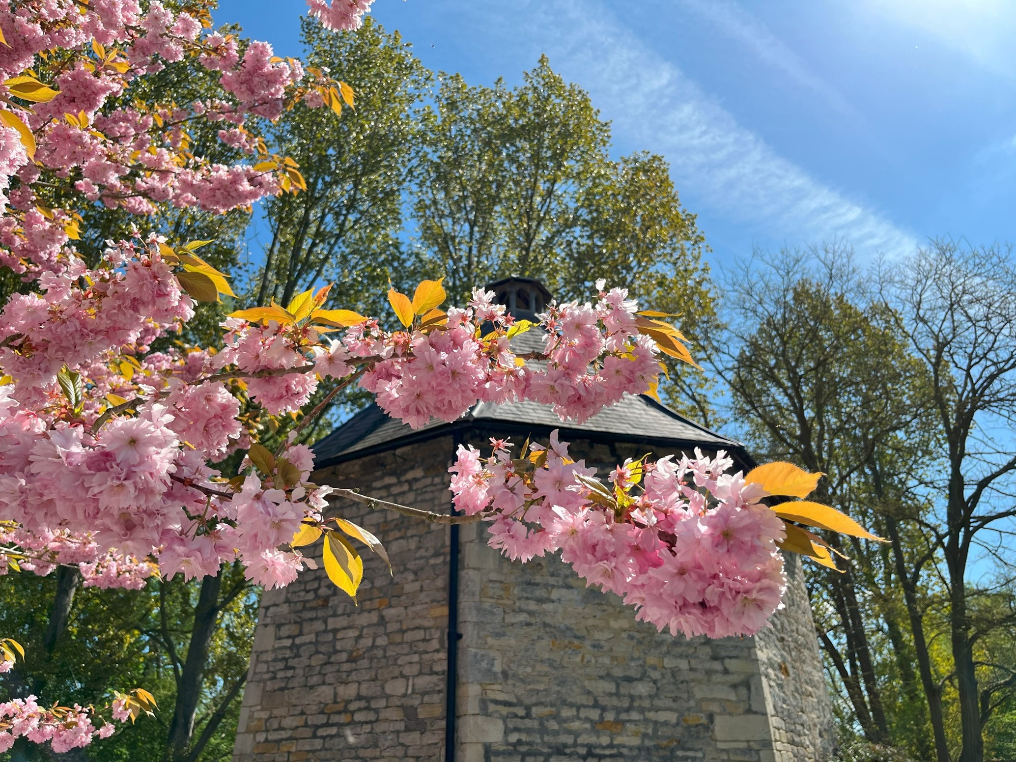 Little Pontons Gardens