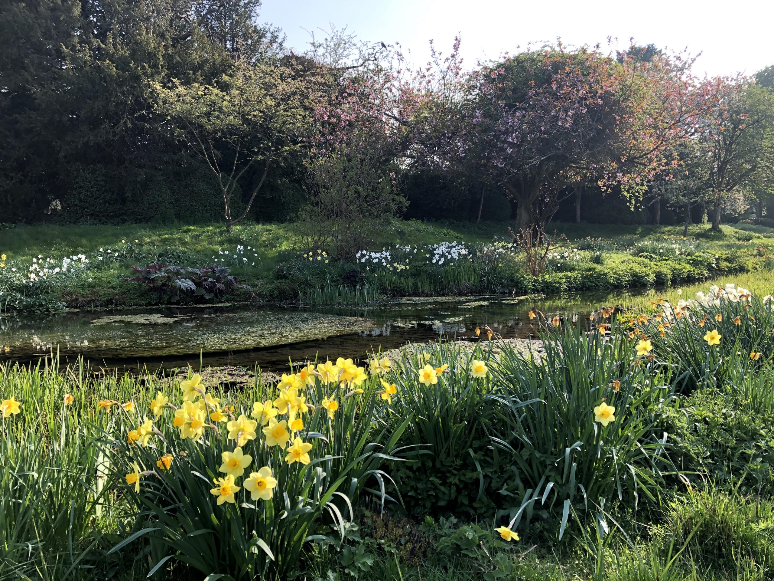 Little Pontons Gardens